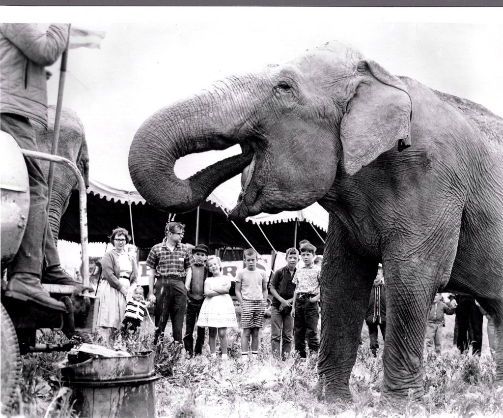 OHA Annual Meeting: Spotlight on Friday Plenary Session - Oral History ...